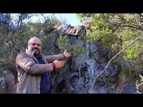 Konuşmuyorum. Görüyorsunuz. Anlatmaya gerek yok.