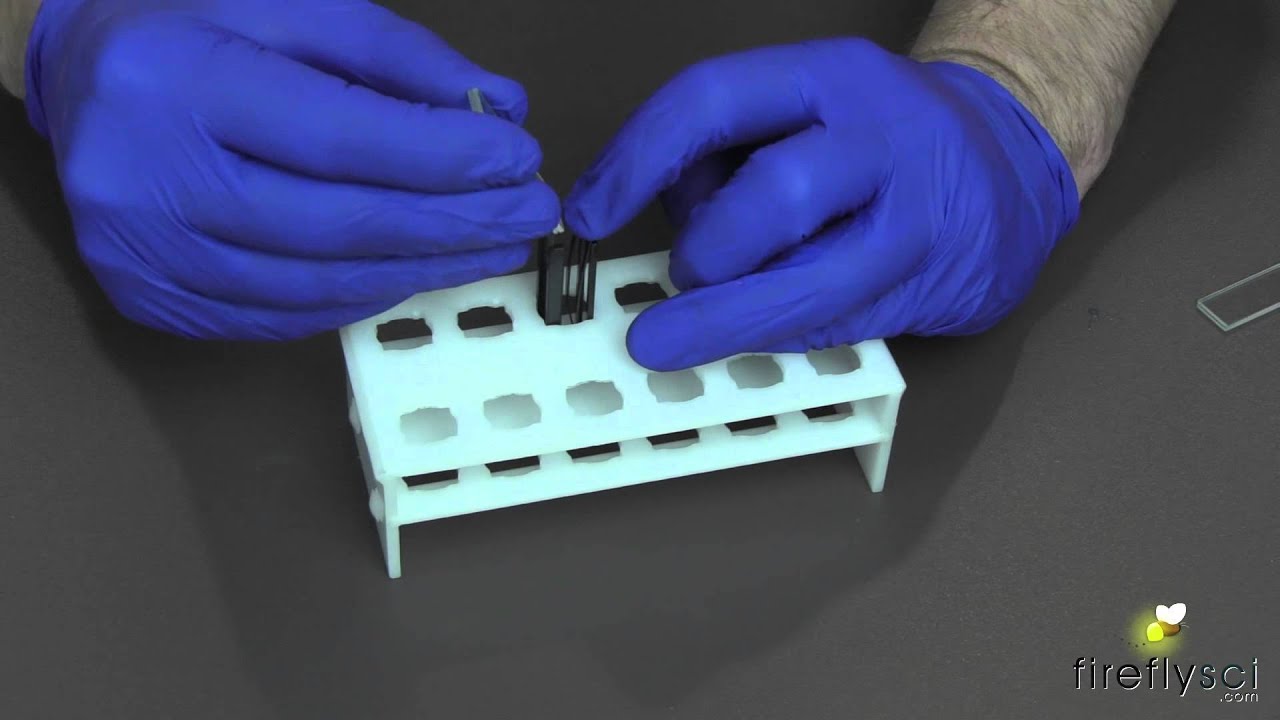 How to Use Type 20/19 Demountable Spectrophotometer Quartz Cuvette ...