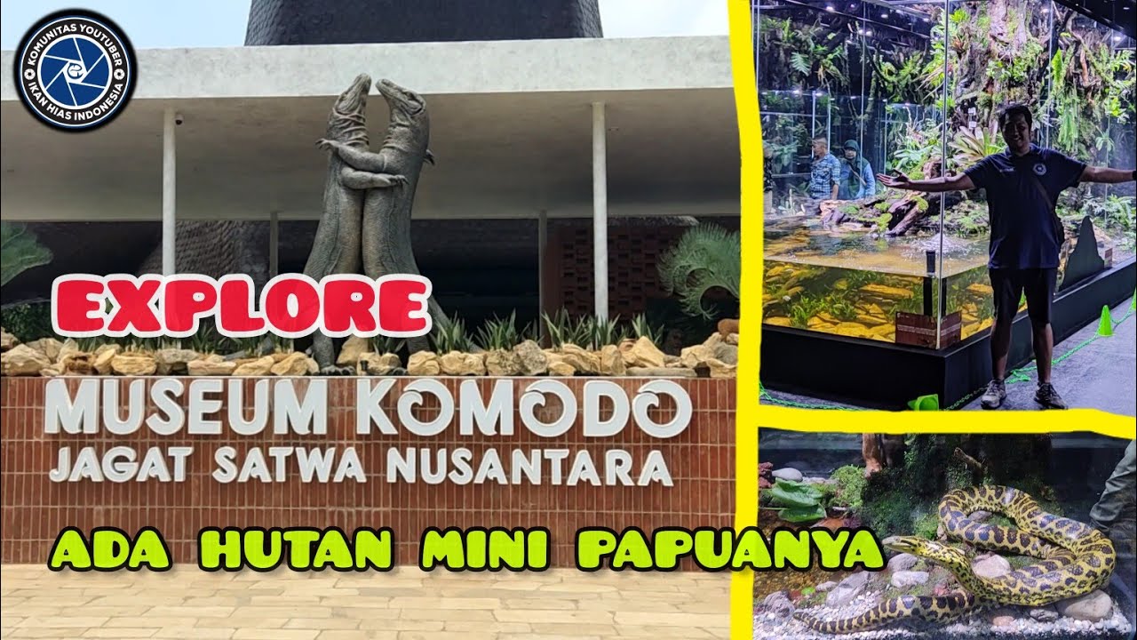 EXPLORE MUSEUM KOMODO TMII SETELAH DI REVITALISASI BARENG YOUTUBER IKAN ...