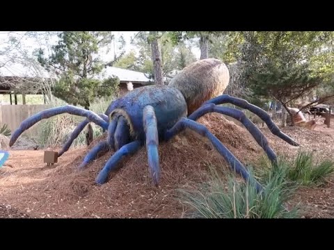 Wild Adventures Giant bugs, Mega bugs actually | spiders, worms ...