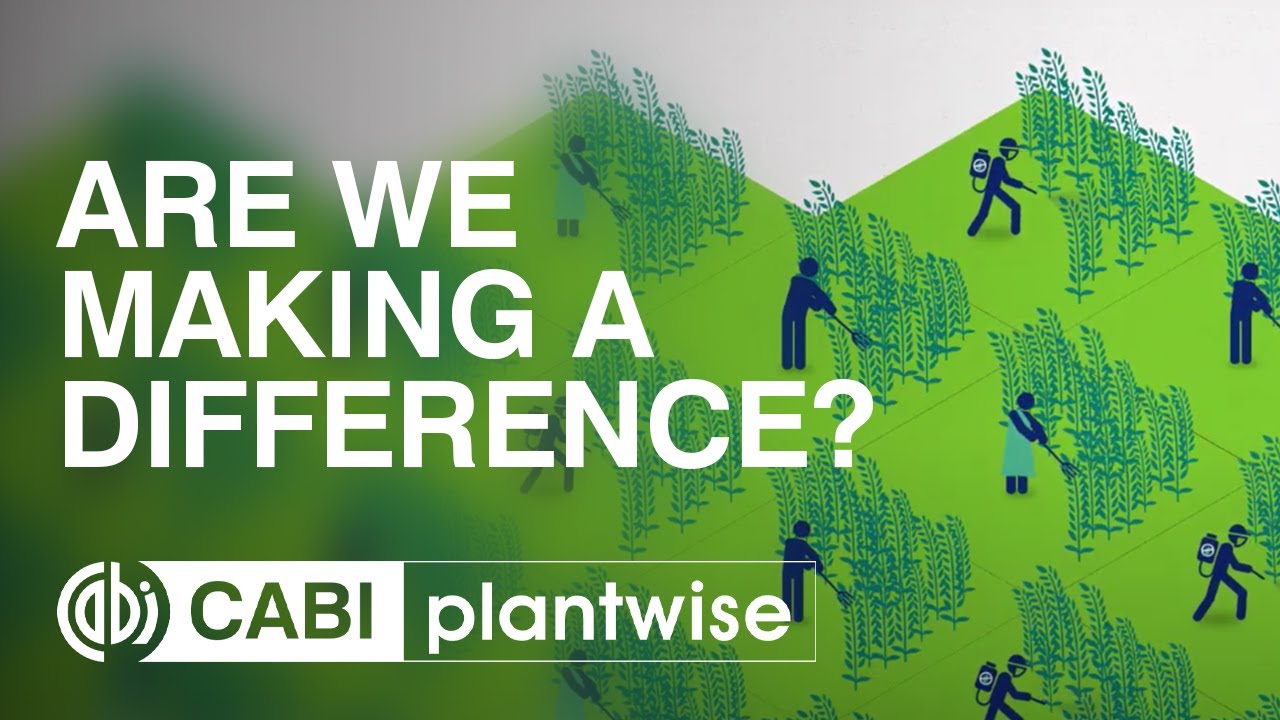 Plantwise - Are we making a difference? - YouTube
