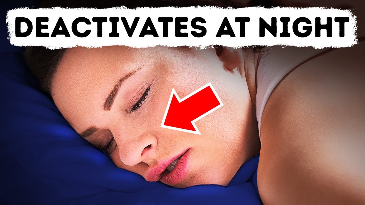 31 Unusual Body Facts Happen Inside You Everyday - YouTube