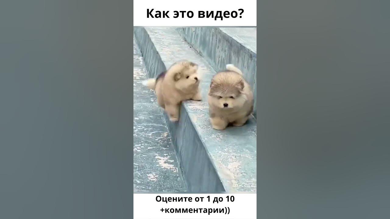 Смешная подборка ТИК ТОК - YouTube