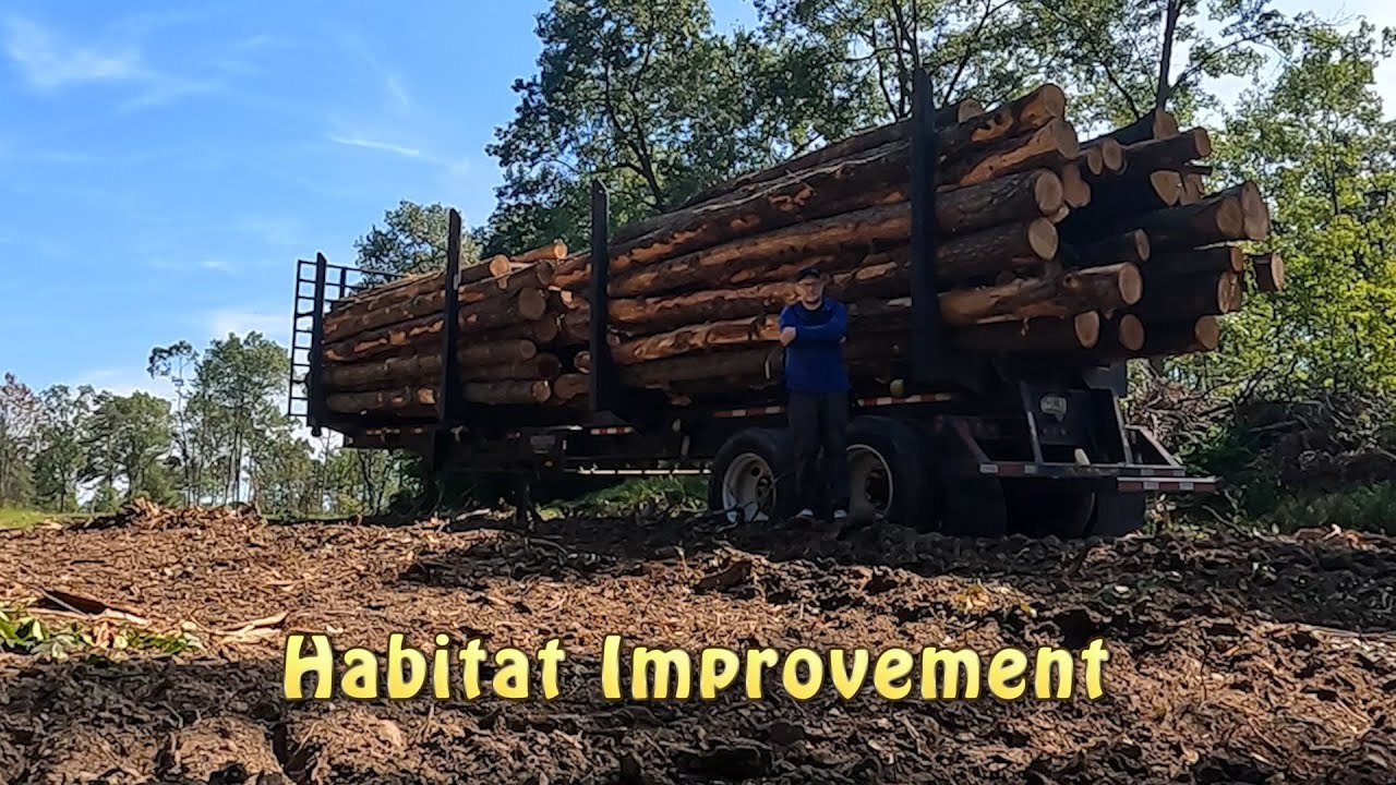 PA State Game lands Improvements 211 part 3 #deerhunting #@PATG1 # ...