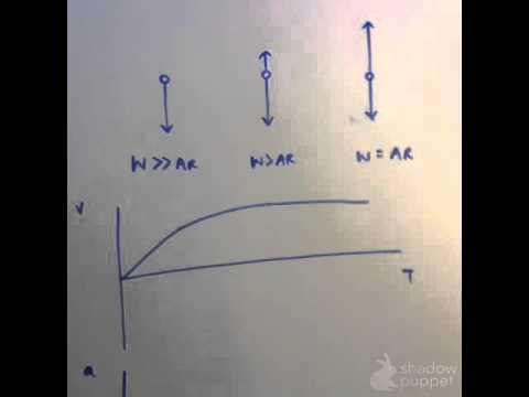 Terminal velocity graph question - YouTube