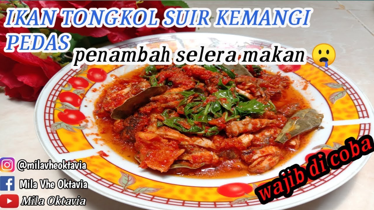 IKAN TONGKOL SUIR KEMANGI MERCON - YouTube