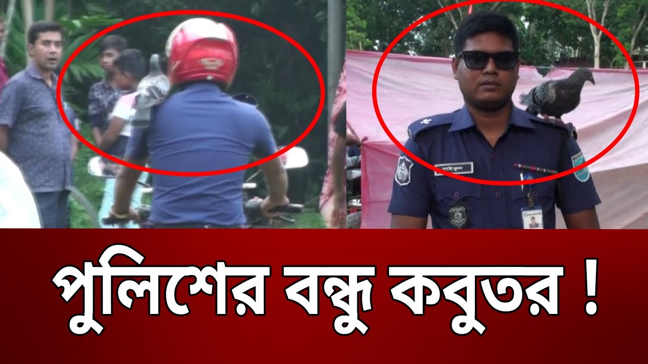 পুলিশের বন্ধু কবুতর Bangla News Mytv News Youtube