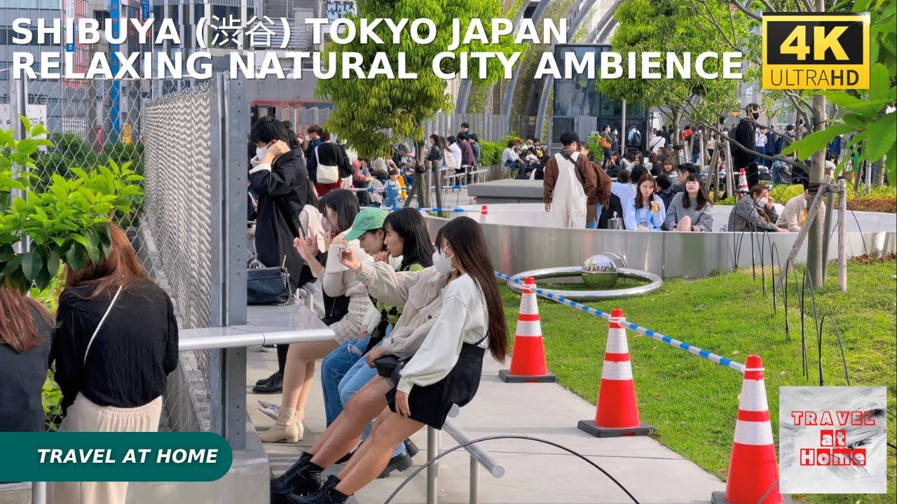 4k hdr japan travel | Walk in Shibuya (渋谷) Tokyo japan | Relaxing ...