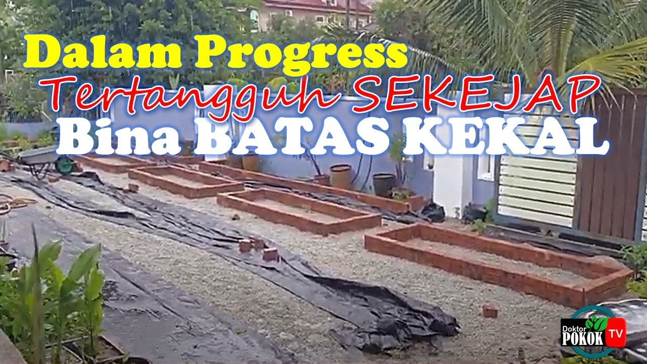 [ Kebun BANDAR ] Proses Membina BATAS KEKAL Tanaman Untuk Berkebun ...