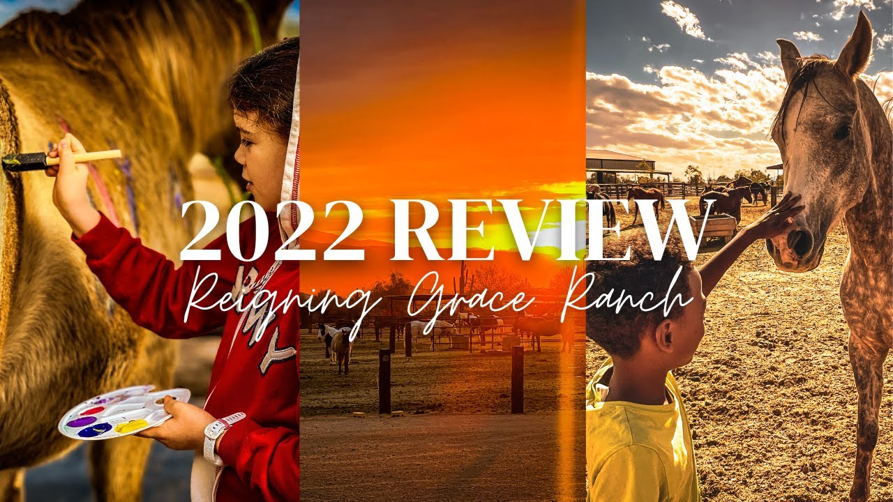 A Year At Reigning Grace Ranch (2022 In Review) - YouTube
