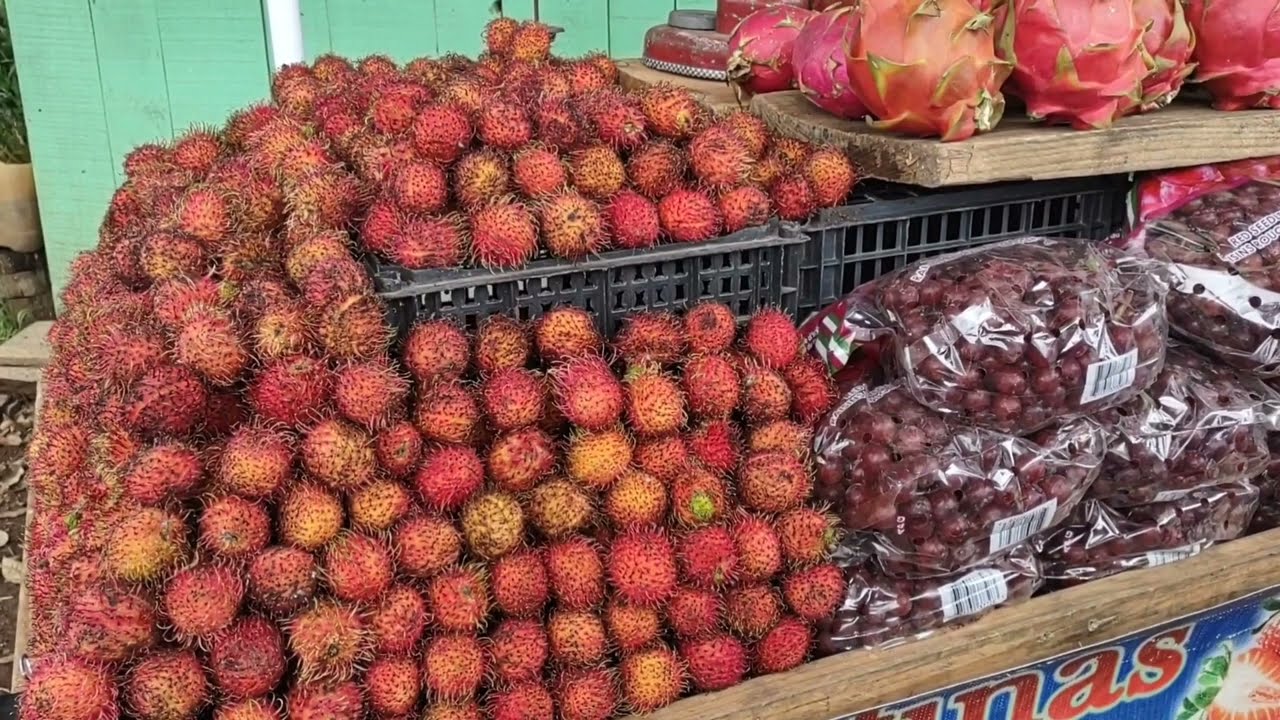 Carretera Chupio Tacámbaro Michoacán #chupio #tacambaro #michoacán # ...