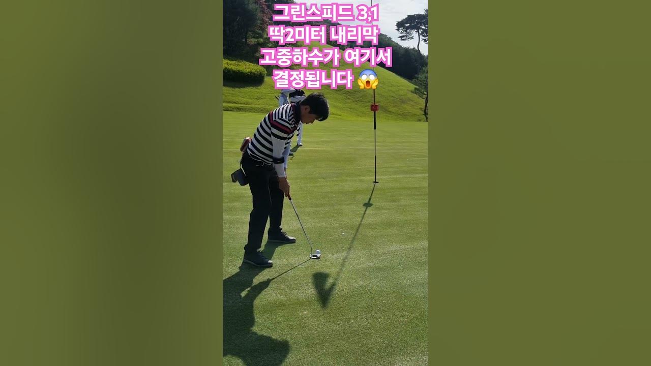 고중하수의 갈림길찐삘골 😱👍🐕⛳️💕골프골프존스크린골프nx골프존cc필드필드골프필드레슨웨지퍼터아이언비거리골프레슨숏게임숏아이언드라이버롱아이언우드