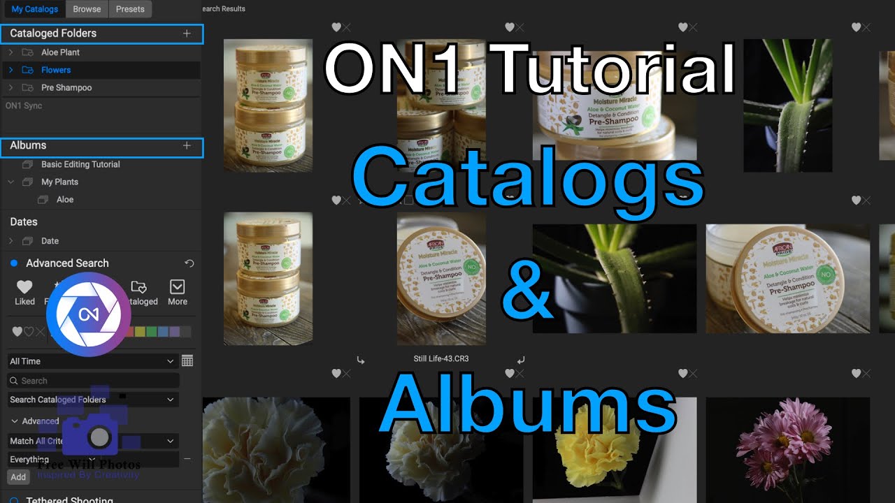 Catalogs In ON1 2020 Walkthrough Video - Organize Your Photos Right ...