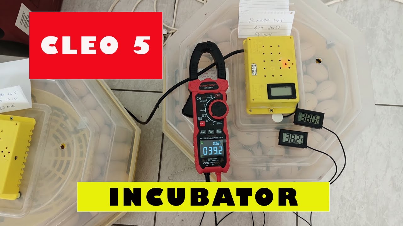 Verificare temperatura incubator Cleo 5 cu aparate profesionale ...