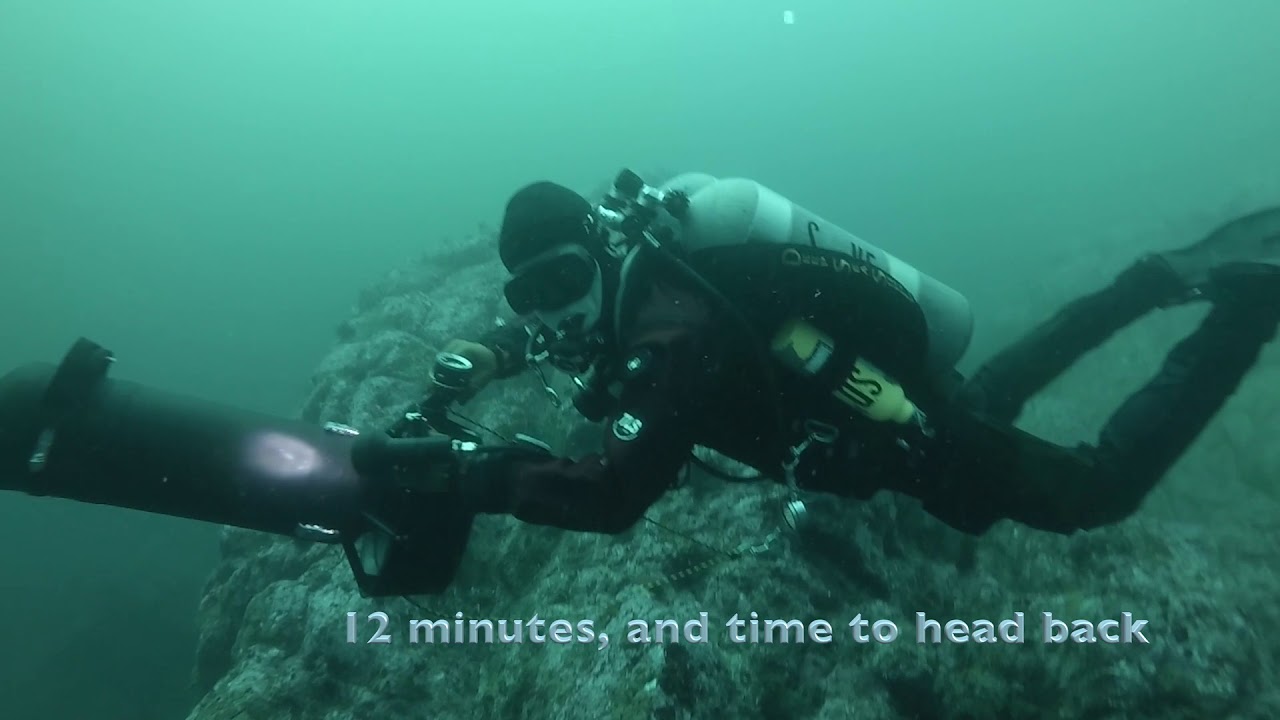 Shortcut Reef with Steve August - YouTube