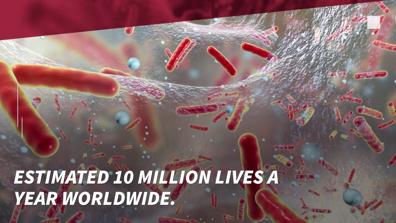 A prescription for the antibiotic crisis - YouTube