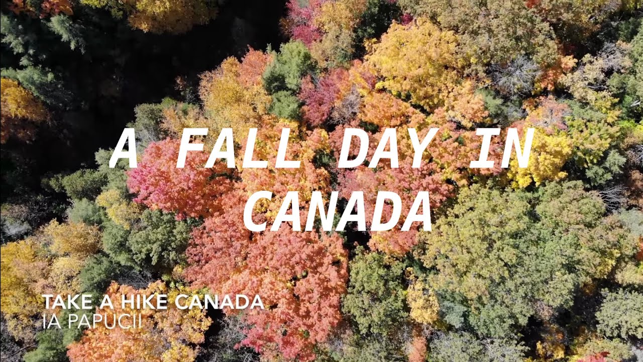 Take a Hike Canada Fall Forest Colours and a beautiful Fall Day - YouTube
