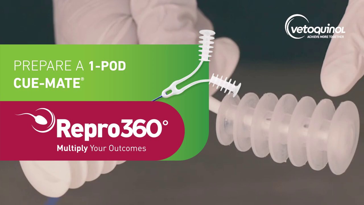 Preparing a 1-Pod (Heifer) Cue-Mate® Progesterone Device - YouTube