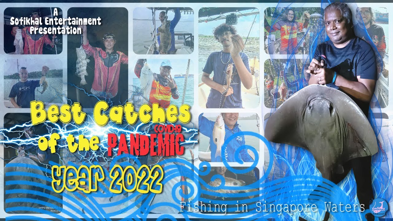 Best Catchs of the Pandemic Year 2022 4K - YouTube