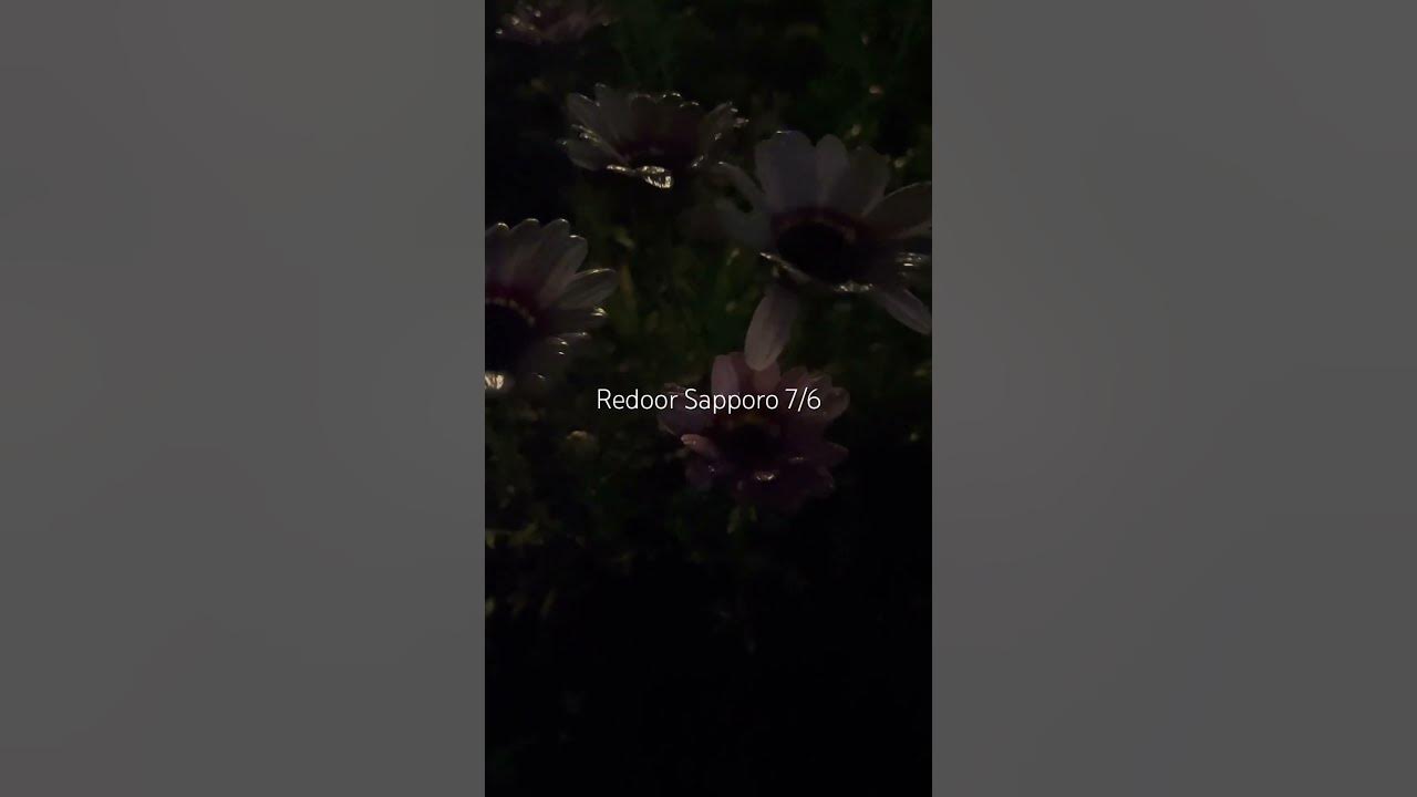 Redoor Sapporoは夜9時 - YouTube