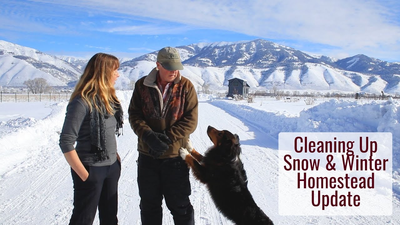 Cleaning Up Snow, Winter Homestead Update, & How's Burley Healing ...
