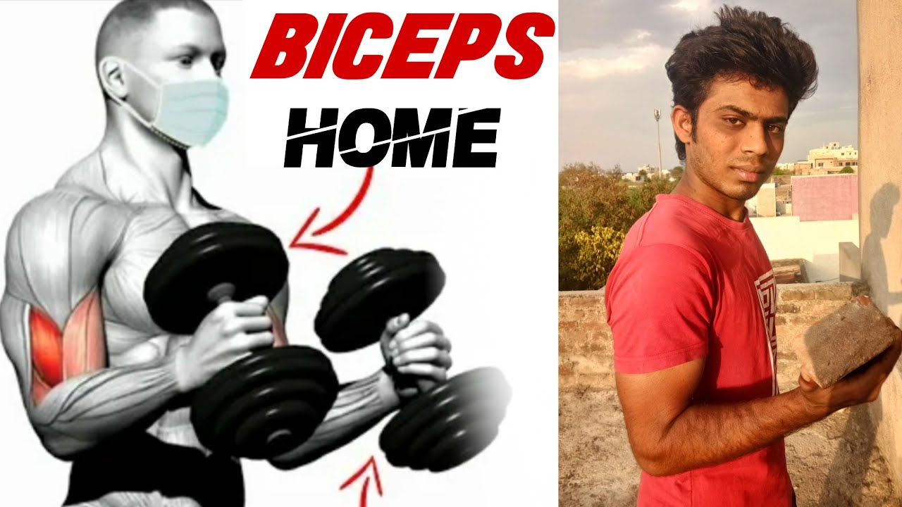 Biceps workout at home || (NO EQUIPMENT) - YouTube