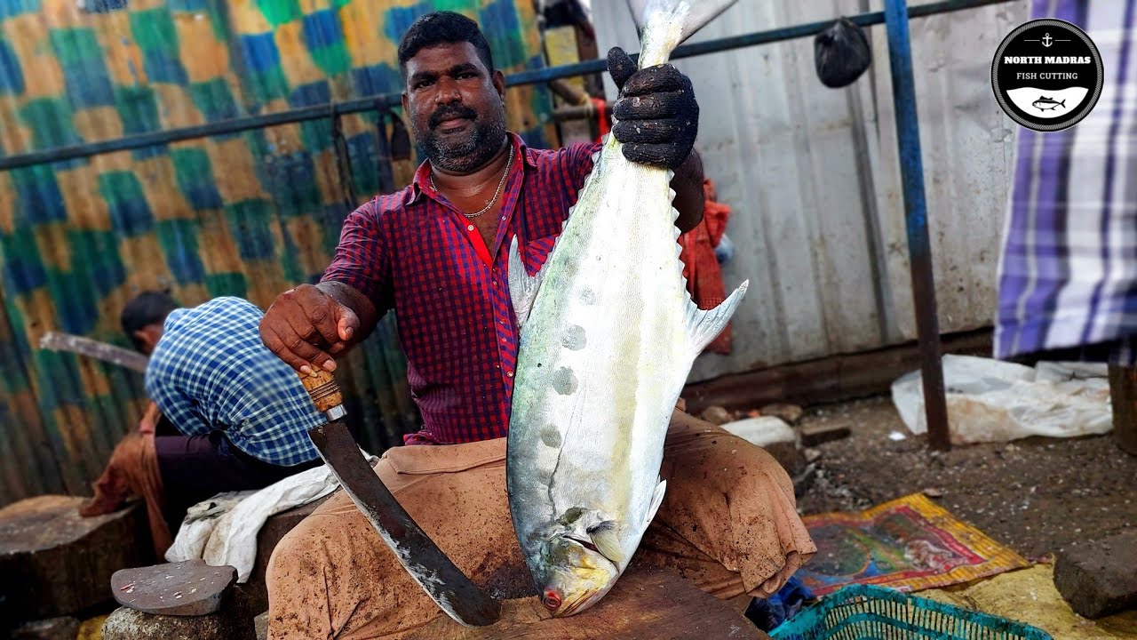 🤯💢KASIMEDU 🔥 MINNAL RAJA|THOL PARRAI |FISH CUTTING SKILLS VIDEO |IN ...