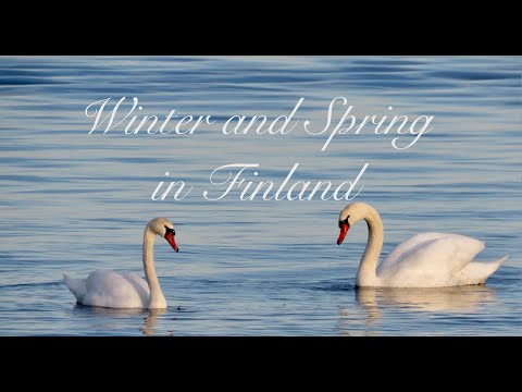 Four seasons in Finland – Winter and Spring - YouTube