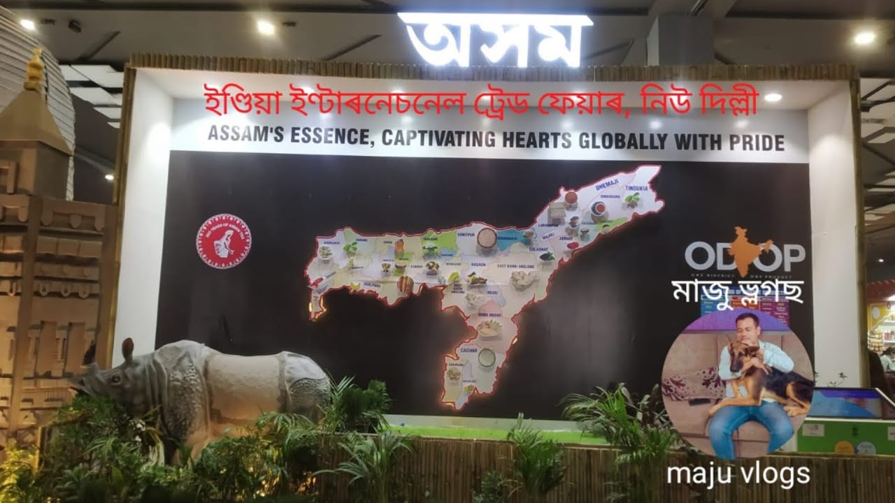 Axom at IITF -2023 || Pragati maidaan - New Delhi || India ...