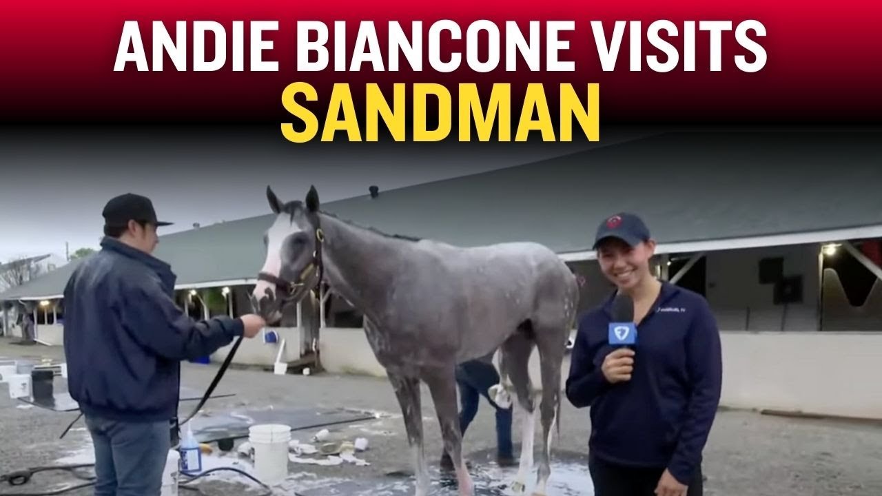 Andie Biancone Visits: SANDMAN - YouTube