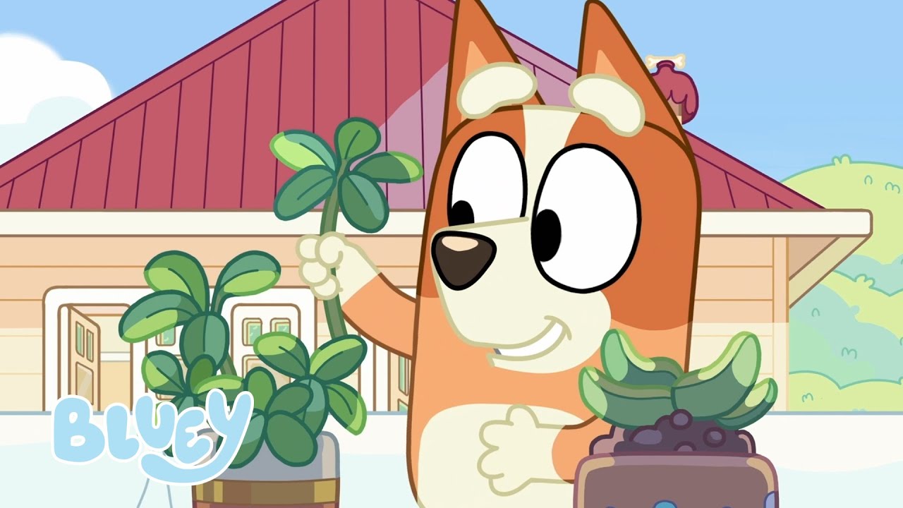 Get Outdoors with Bluey! | Bluey - YouTube