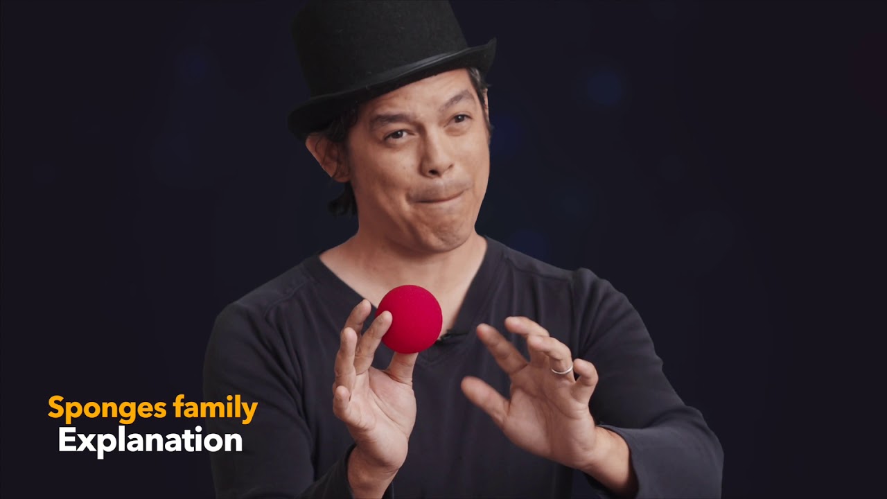 Sponge Family Magic Trick - YouTube