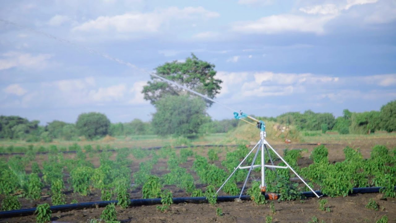 KILIMO CHA PILIPILI TANZANIA/PEPPER IRRIGATION/MATRIDA FARM/Yuzuak JET ...
