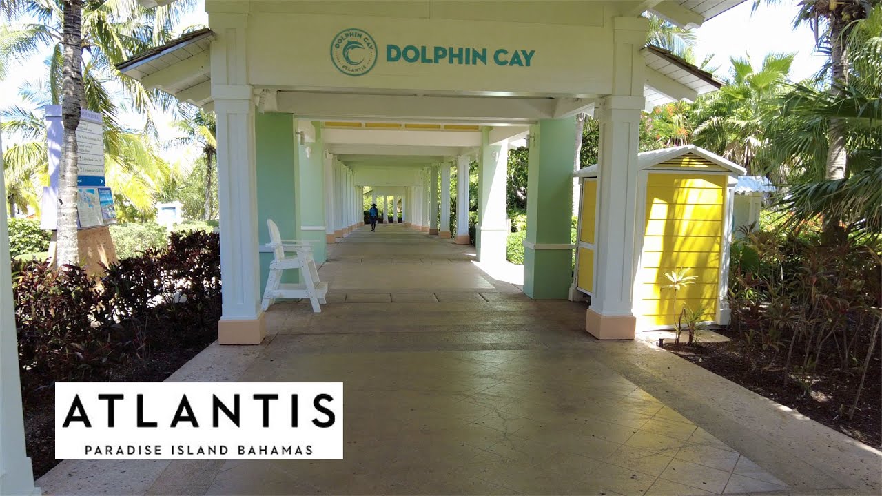 Atlantis Bahamas - Dolphin Cay | Oakland Travel - YouTube