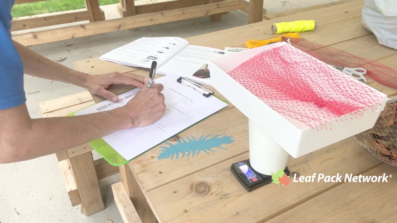 Leaf Pack Methods: Making Packs - YouTube