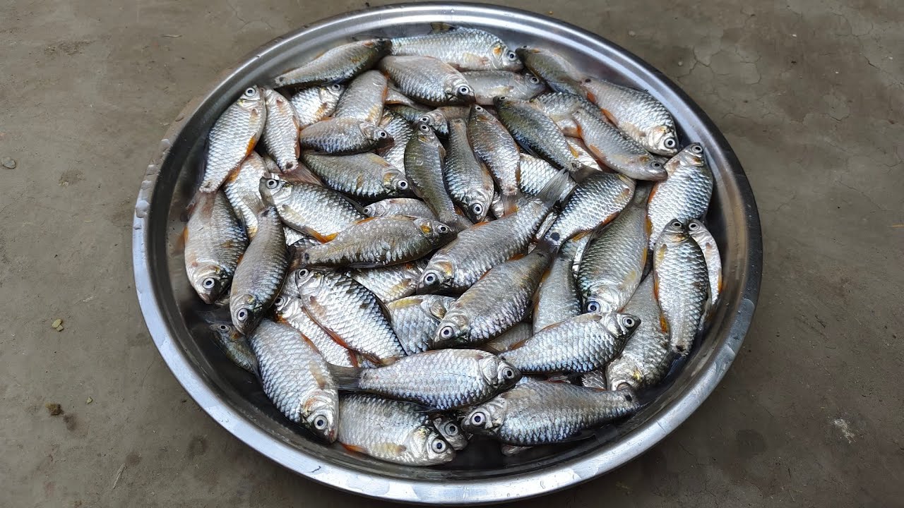 पोठिया मछली बनाने का सबसे आसान तरीका || Pothiya Machhli Kisae Banaye ...
