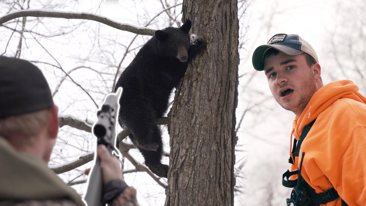 THE FIRST DAY OF THE DECEMBER BEAR SEASON - The Untamed Bear Hunting ...