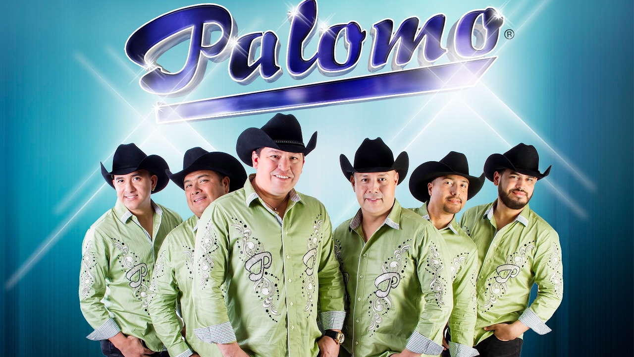 Palomo en vivo - YouTube