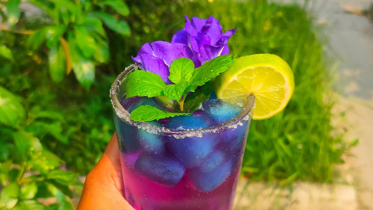 Blue pea butterfly mocktail at home 💜 - YouTube