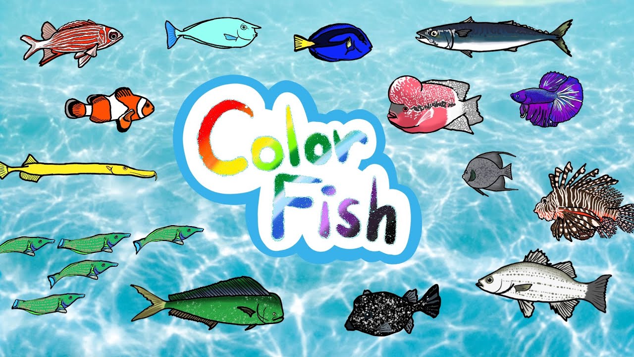 Color Fish | Let's learn different colors with sea fish | Color quiz ...