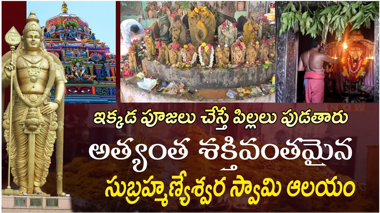 Most Powerful Lord Sri Subramanya Swamy Temple History | Eluru | Focus ...