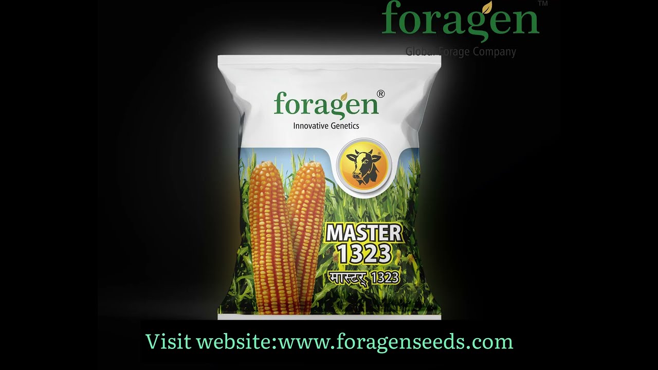 Foragen Seeds | MASTER 1323 Product review from Indore M.P. - YouTube