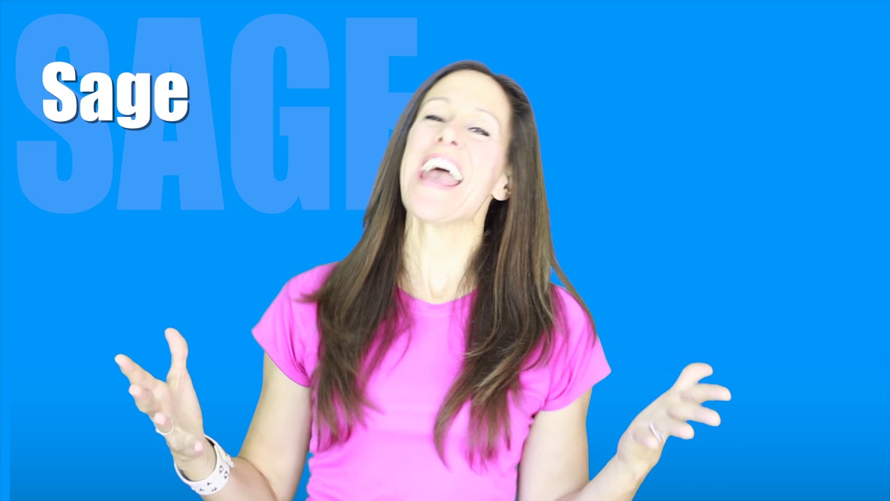 Learn to Spell SAGE Toddler Song | Learn to Talk with Patty Shukla ...