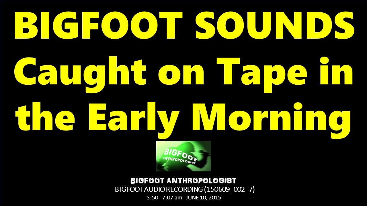 Bigfoot Sounds Caught on Tape in the Early Morning - Bigfoot Audio ...