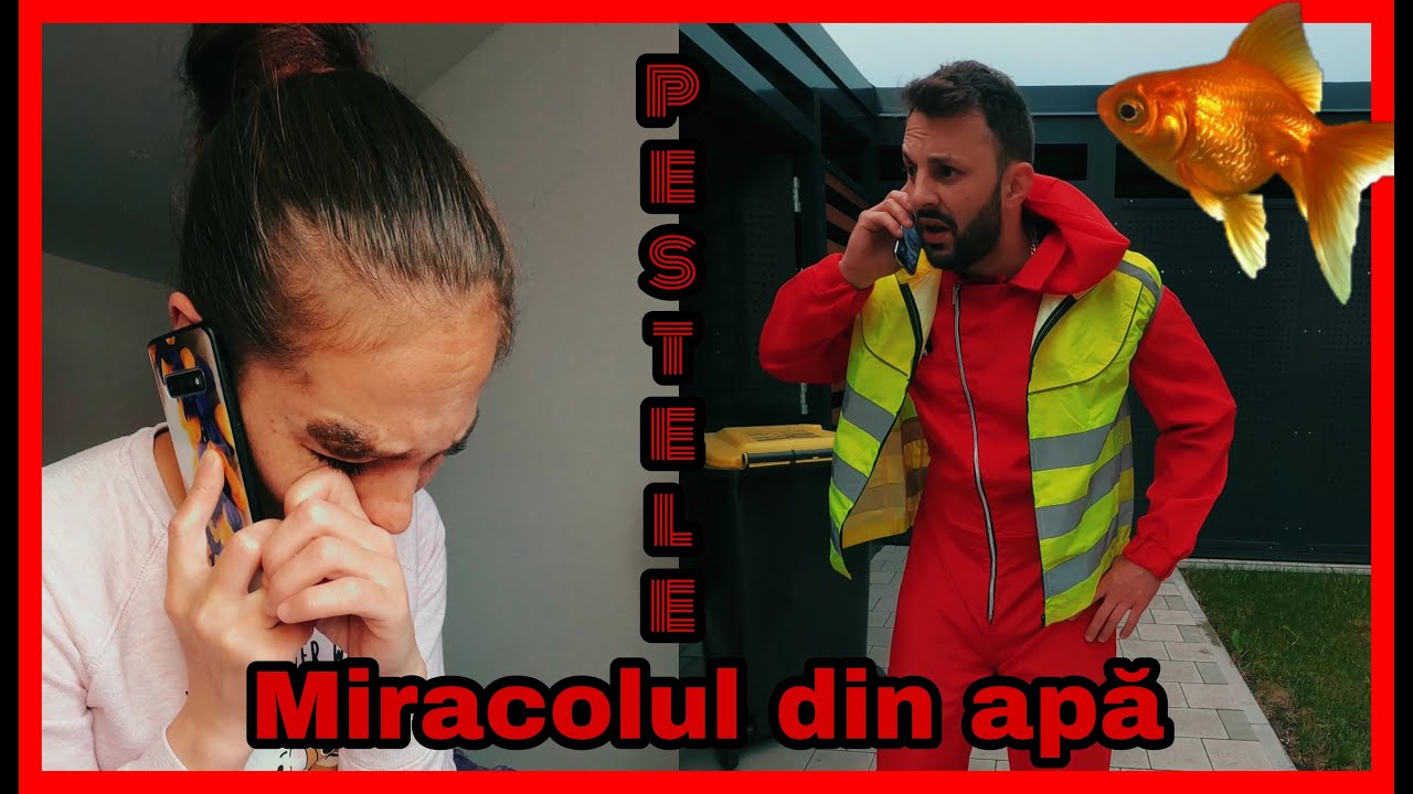 Miracolul din apa | Pestele | Lectie de viata - YouTube