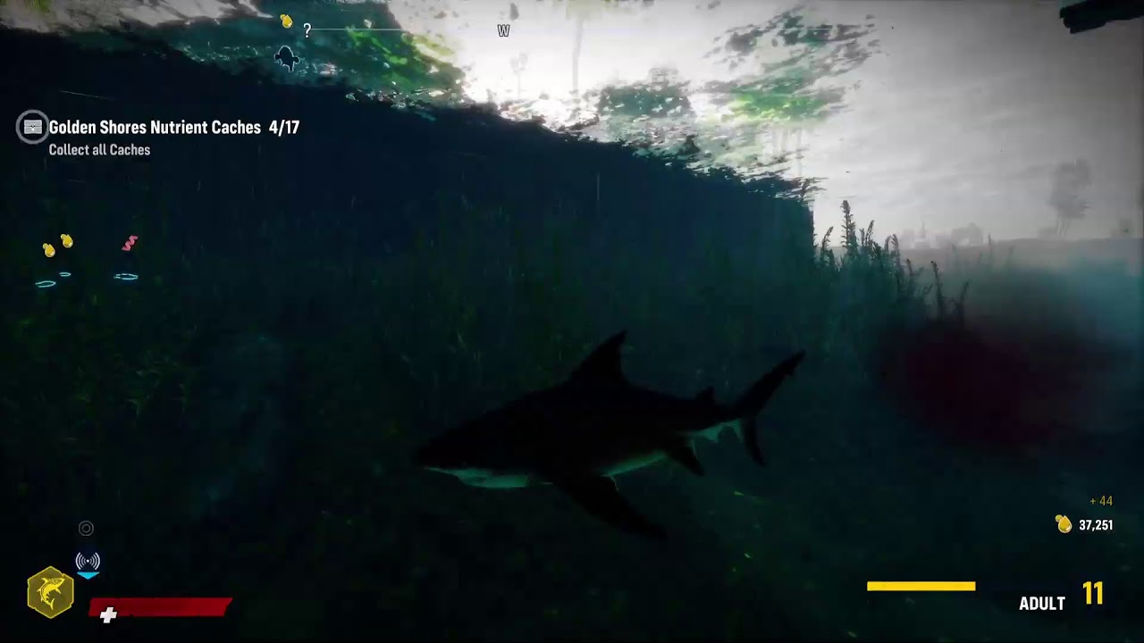 Maneater PS5 Gameplay - YouTube