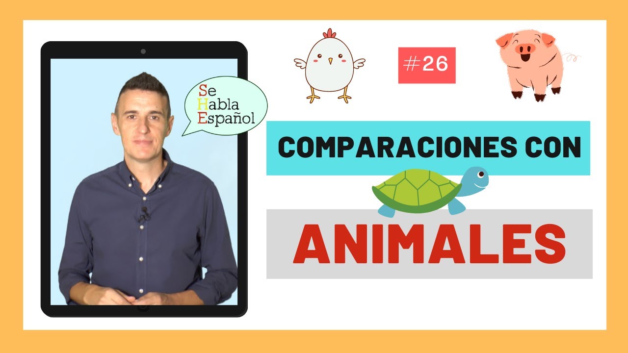 Aprender español: Comparaciones con ANIMALES - YouTube