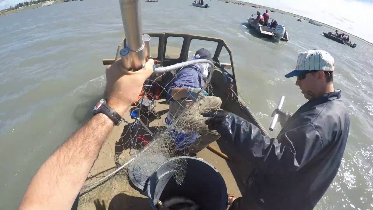 Dipnetting the Kenai River in Alaska Jul 2016 - YouTube