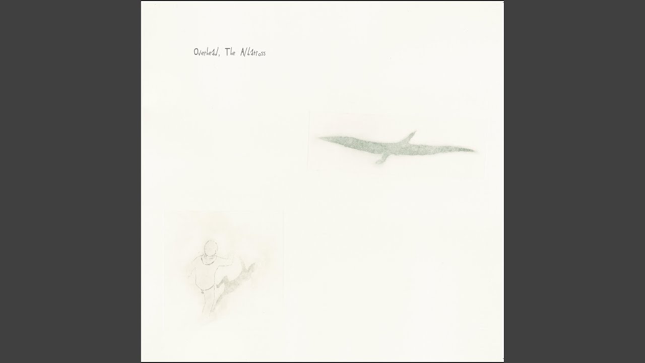 Indie Rose - YouTube