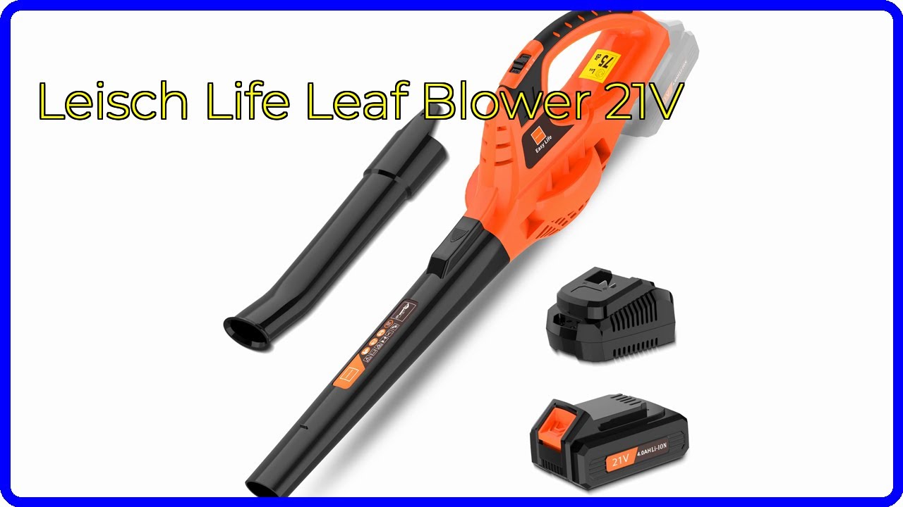 REVIEW (2026): Leisch Life Leaf Blower 21V. ESSENTIAL details. - YouTube